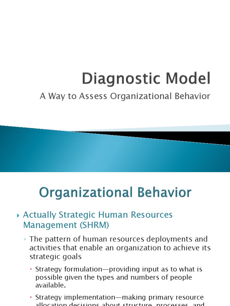 Diagnostic Model A Way To Assess Organizational Behavior | PDF ...