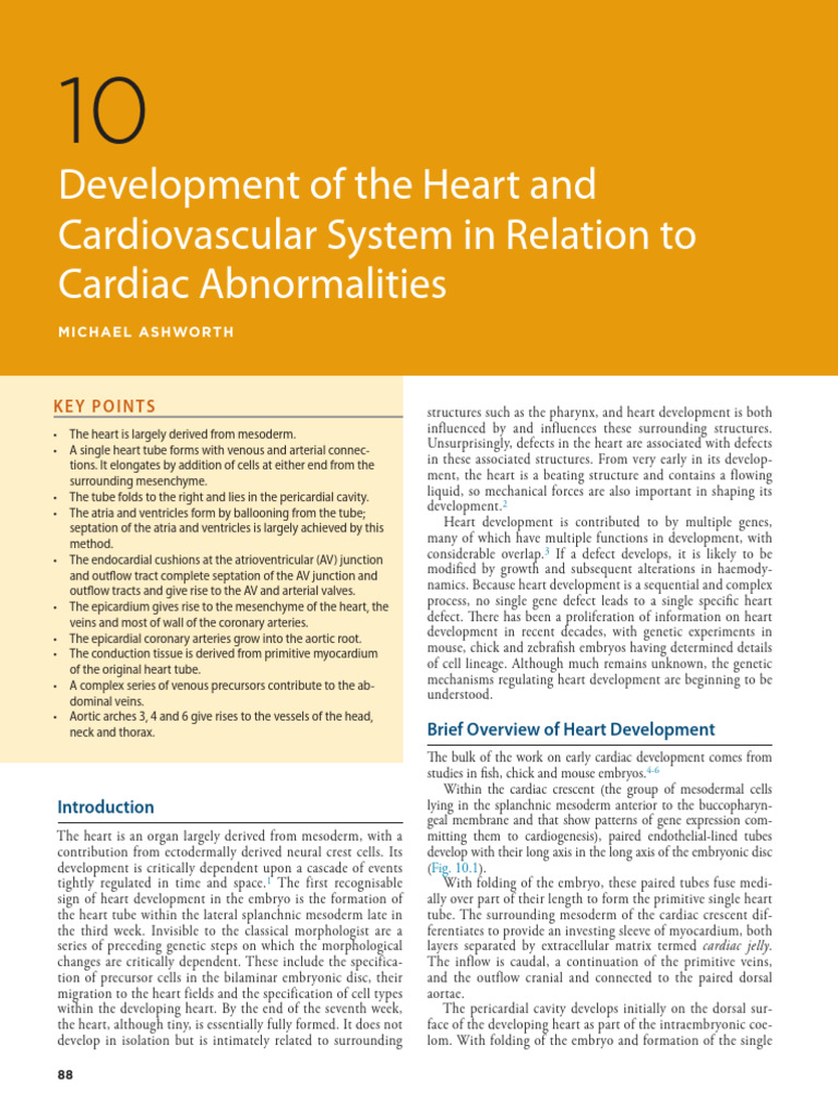 Heart Development and Abnormalities | PDF | Heart Valve | Atrium (Heart)