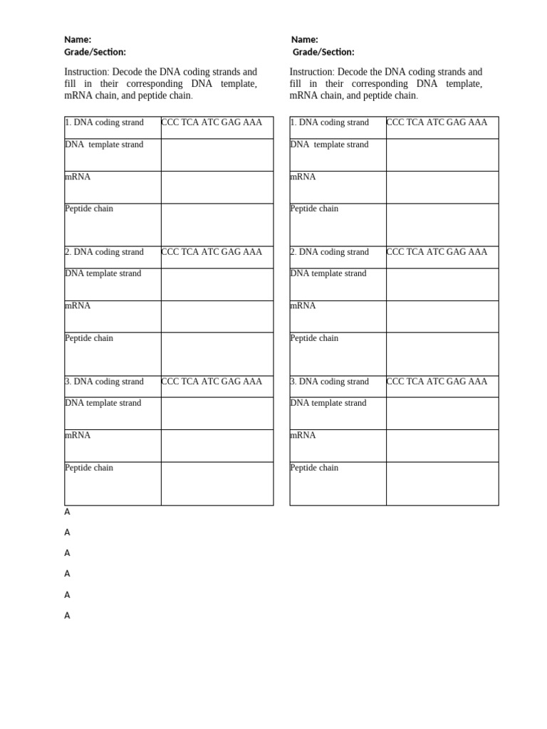 Activity For Transcription and Translation | PDF