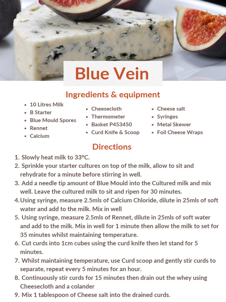 Blue Cheese Making Process Guide | PDF | Cheese | Foods