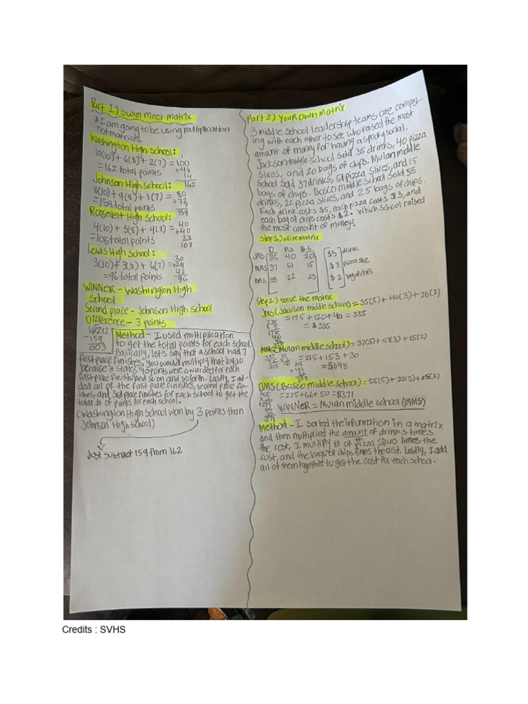 Jia Patel - Alg. Chapter 4 Project | PDF