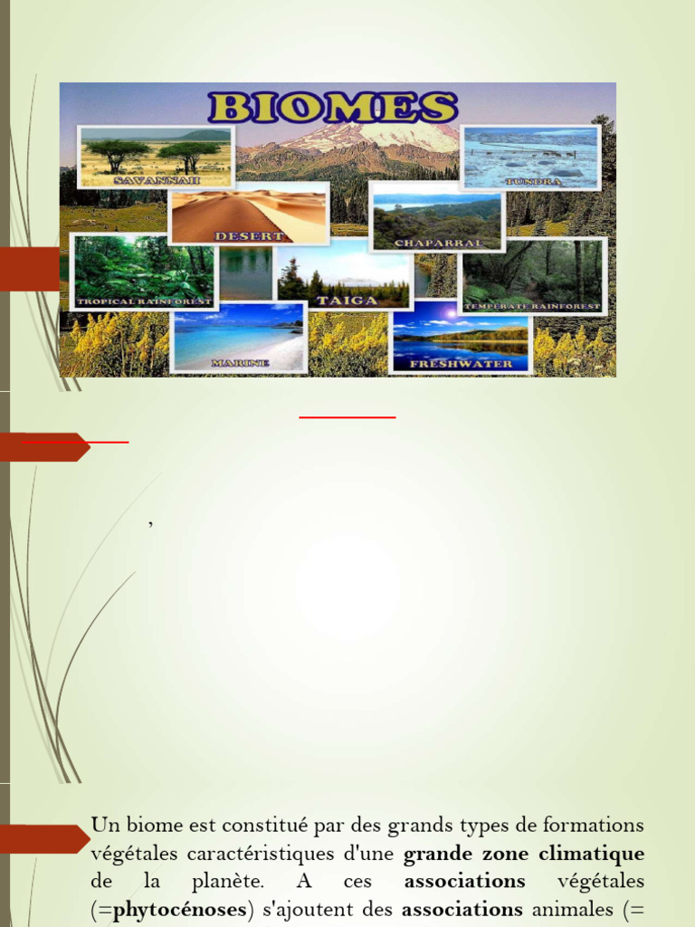 Comprendre les Biomes Terrestres | PDF | Pin (plante) | Écologie