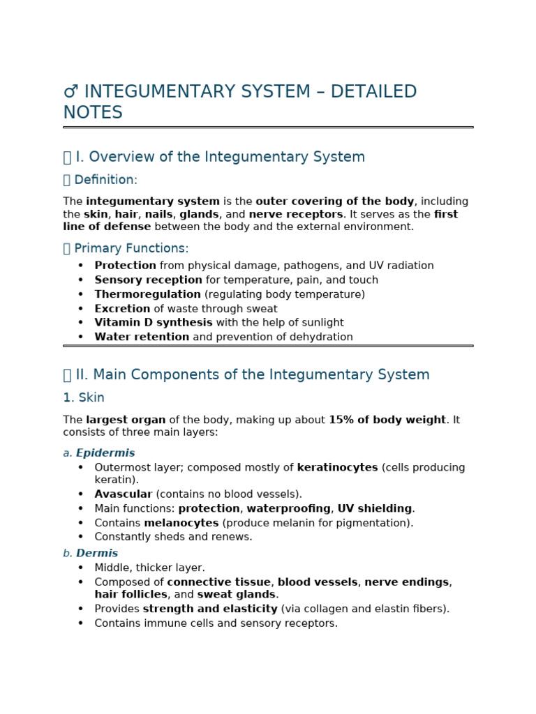 Integumentary System Notes | PDF | Integumentary System | Skin