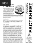 LSU-Ag Planting Guide | PDF | Vegetables | Fertilizer