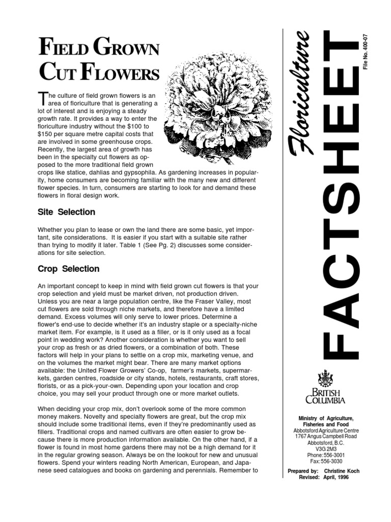 Field Cut | PDF