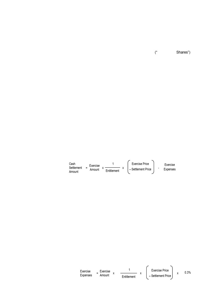 Put Warrant Info | PDF | Taxes | Prices