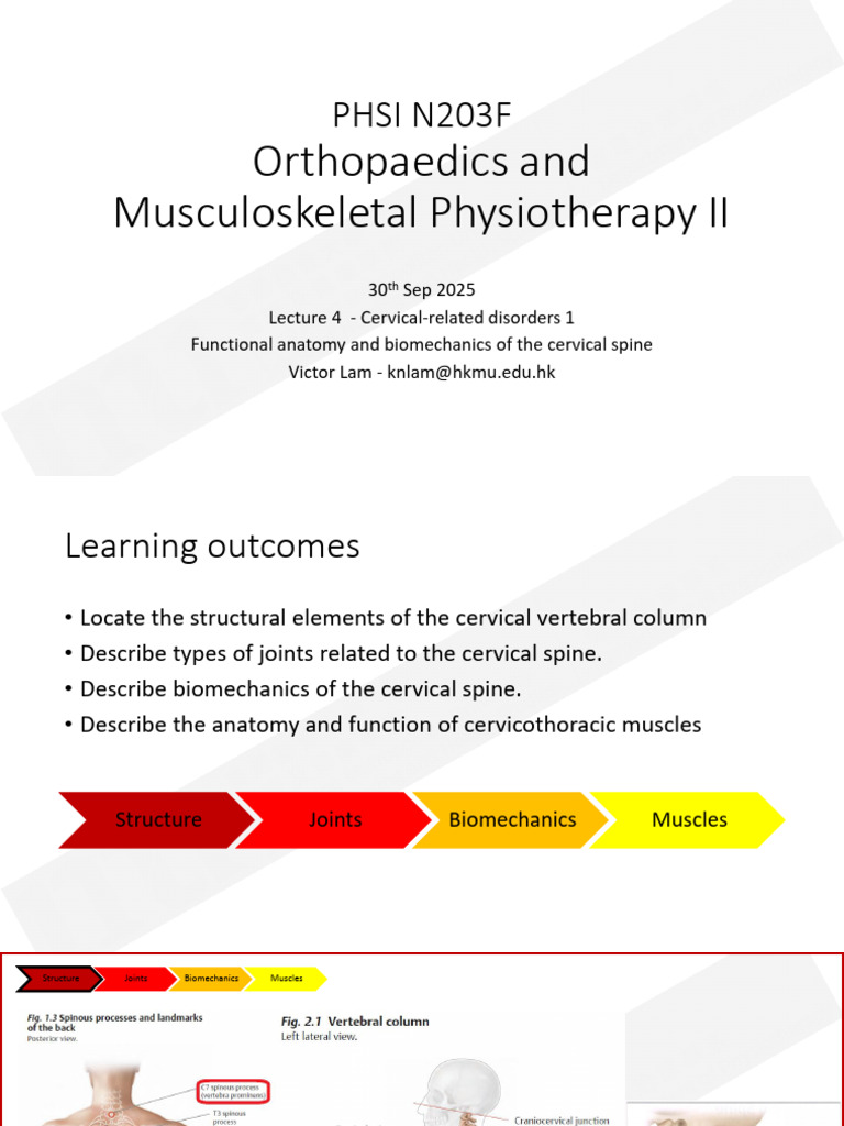Cervical Spine Anatomy and Biomechanics | PDF | Neck | Anatomical Terms ...