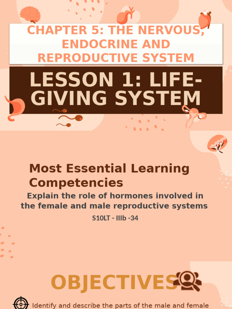 Understanding Human Reproductive Systems | PDF | Reproductive System ...