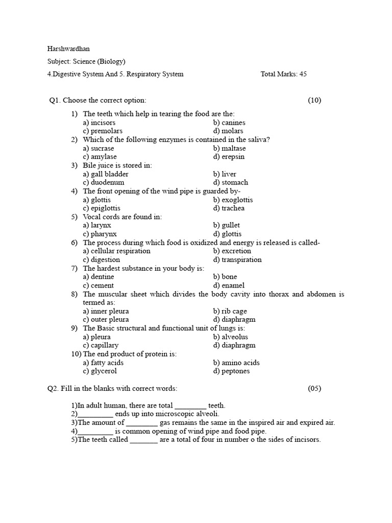 Digestive and Respiratory Systems Quiz | PDF | Digestion | Anatomy