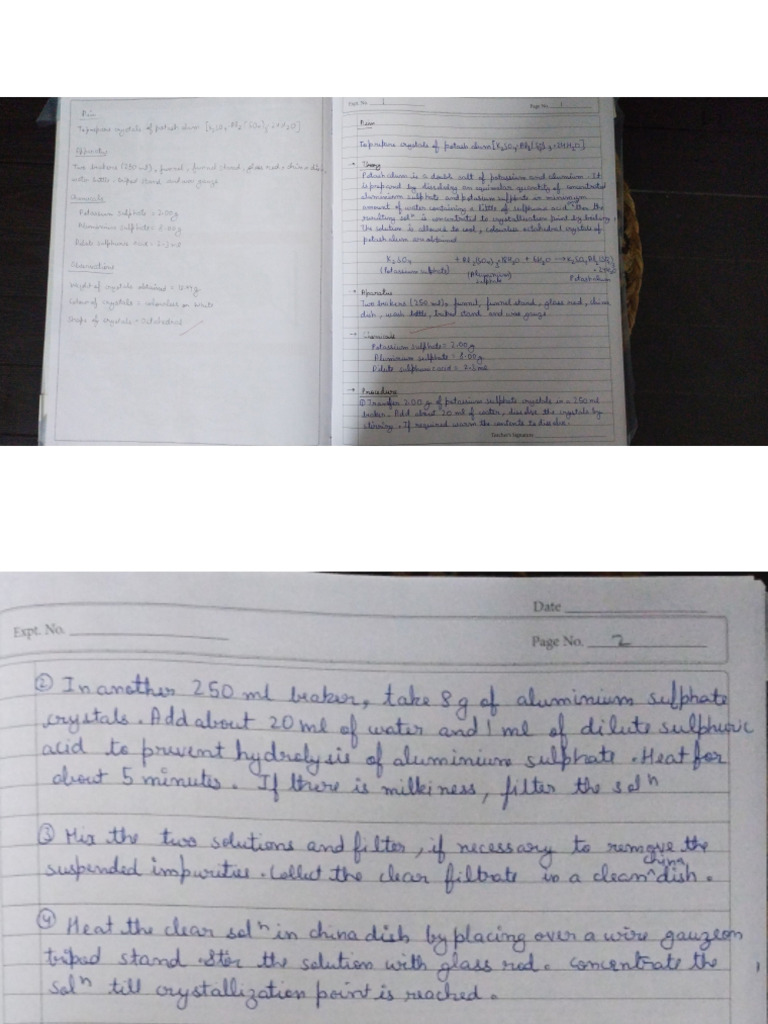 Chem Practical File 12 | PDF