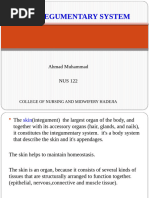 Skin Chemical Composition Overview | PDF | Epidermis | Skin