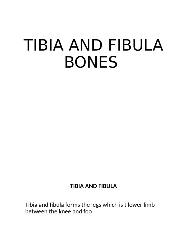 Anatomy and Functions of Tibia & Fibula | PDF | Ankle | Knee