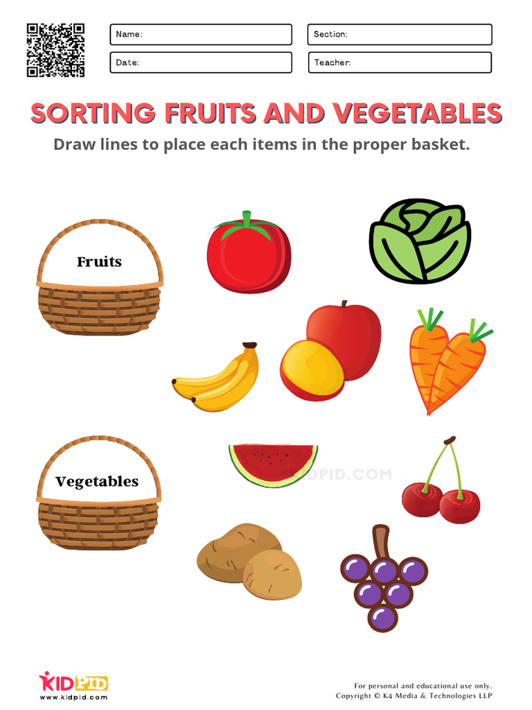 Sorting Data Printable Worksheets for Grade 1 | PDF