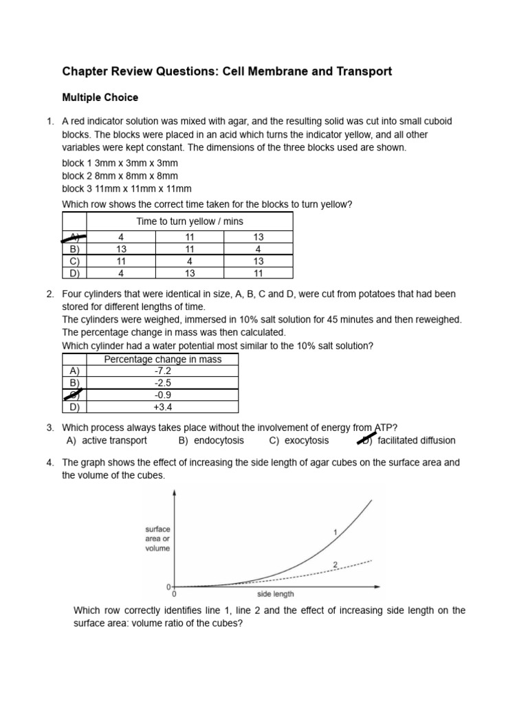 1761463755-Chapter Review Questions - Cell Membrane and Transport | PDF ...