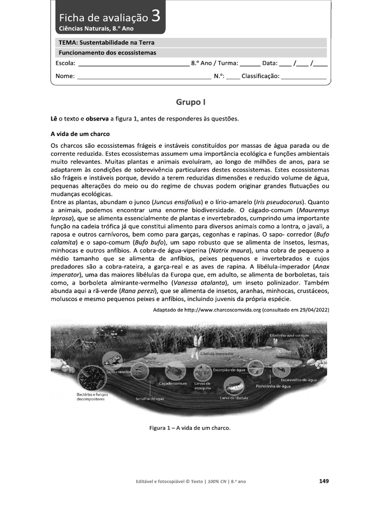 CN8 Cadeias Alim FA2 | PDF