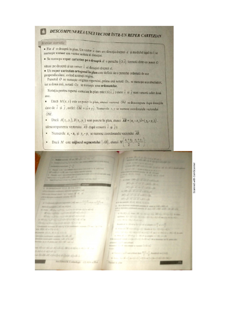 Geometrie Descompunere Vectori | PDF