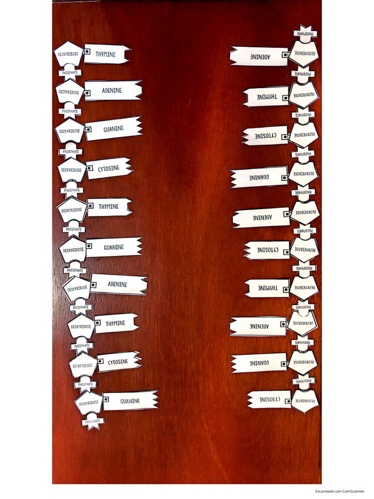 DOC-20251202-WA0368. | PDF