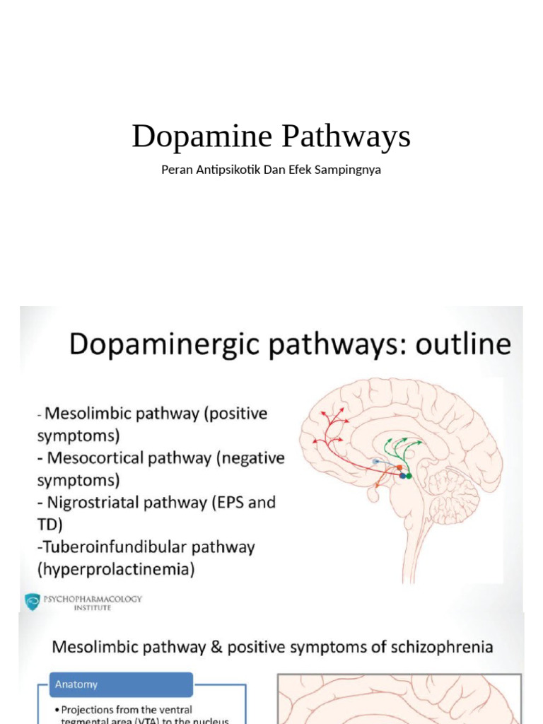 Dopamine Pathways | PDF