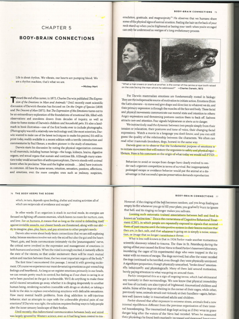 Van Der Kolk Chapter 5 | PDF