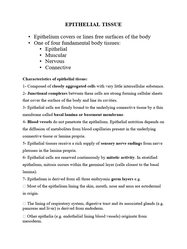 Epithelial Tissue Epithelial Tissue Epithelial Tissue | PDF ...