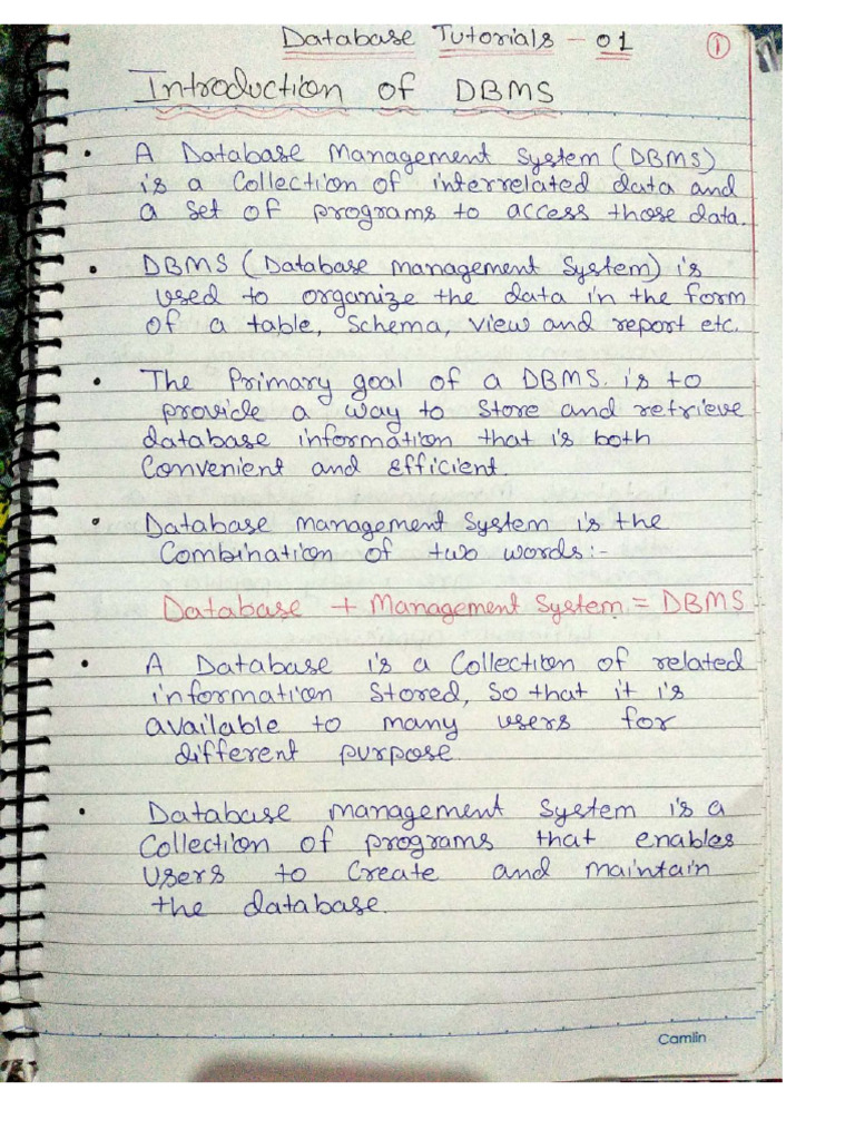 Dbms Notes | PDF