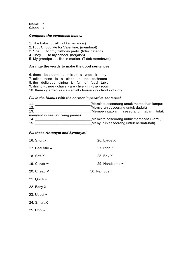 English Language Sentence Exercises | PDF