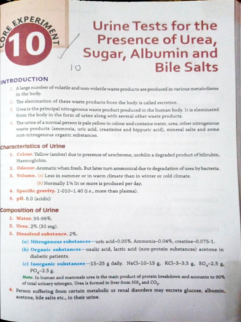 Urine Tests for the Presence of Urea Sugar and Bile Salts ( EXP. NO. 10 ...