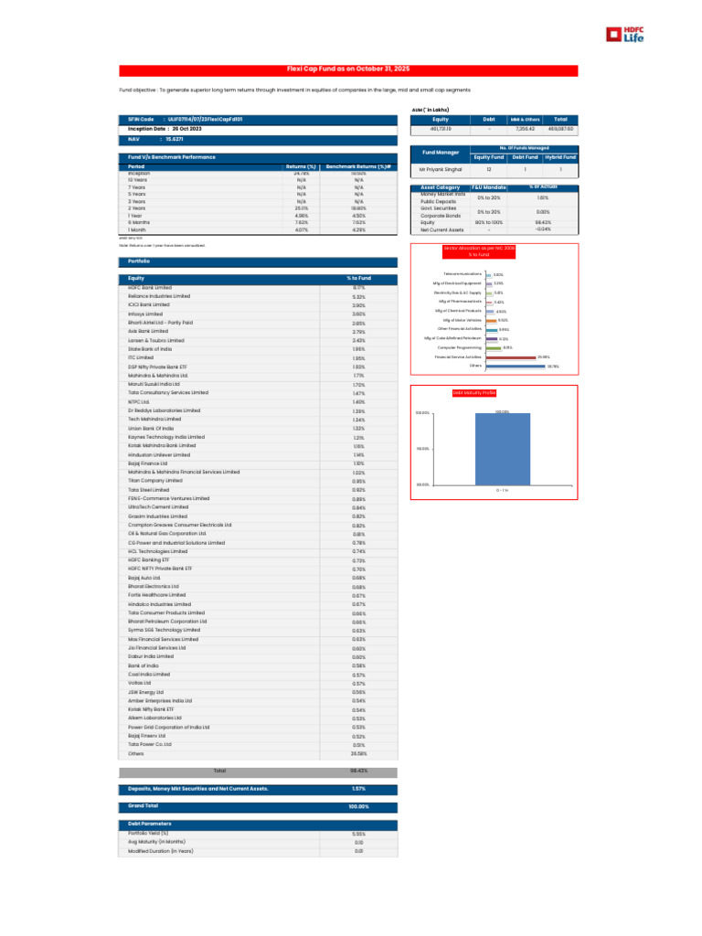 Flexi Cap Fund Performance Overview | PDF