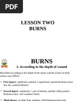 Pediatric Burn Surface Area Charts | PDF