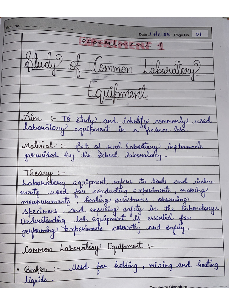 Class 9 Science Practical File | PDF