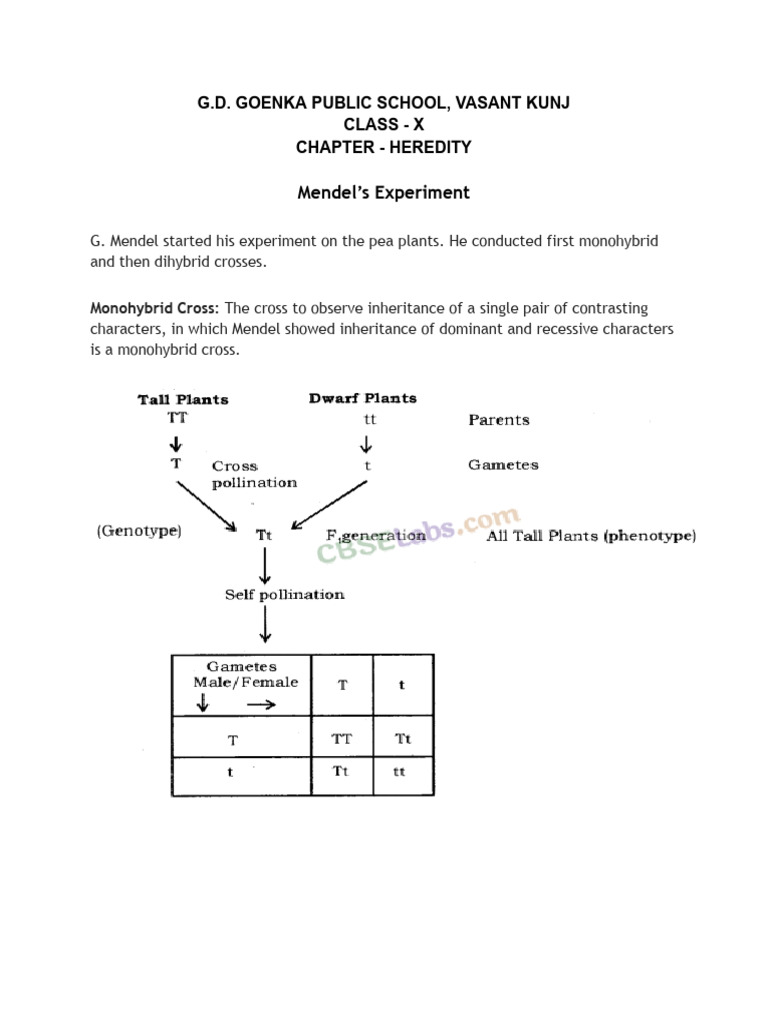 Mendel's Experiments on Heredity Explained | PDF | Sex | Dominance ...