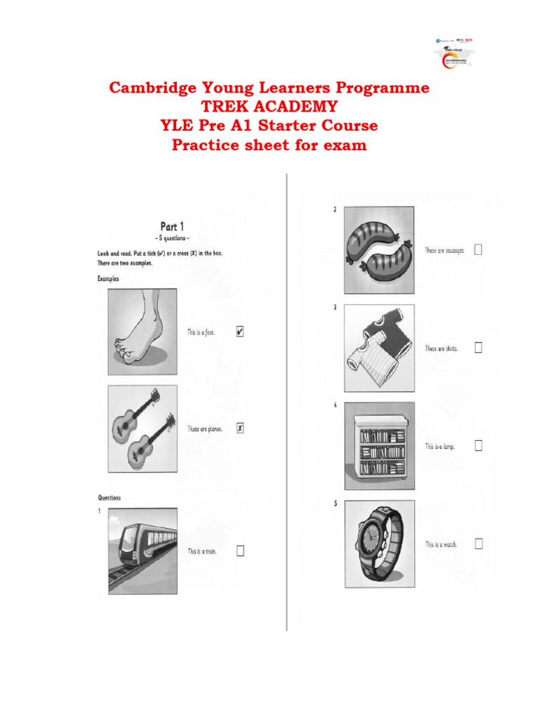 Exam Practice Sheet | PDF
