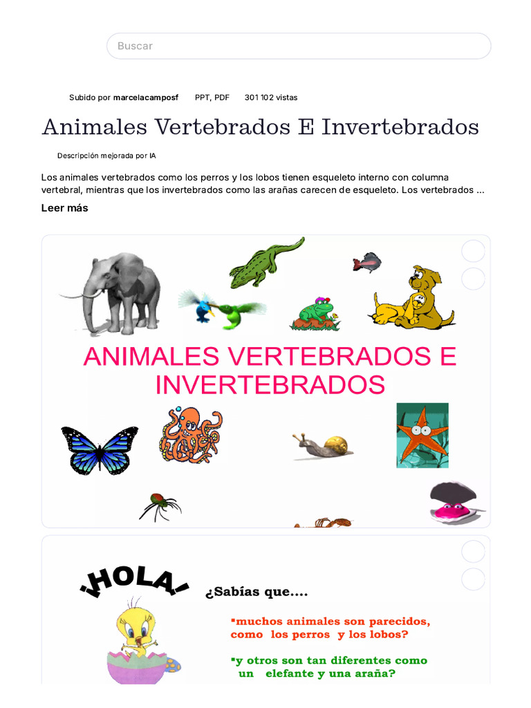 Vertebrados e Invertebrados: Guía Completa | PDF
