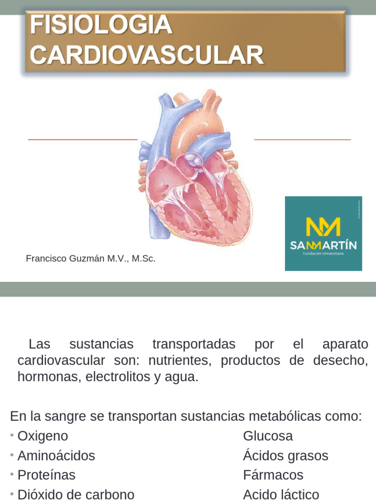 5. Morfo e Integracion (Sistema cardiovascular) | PDF | Sistema circulatorio | Corazón