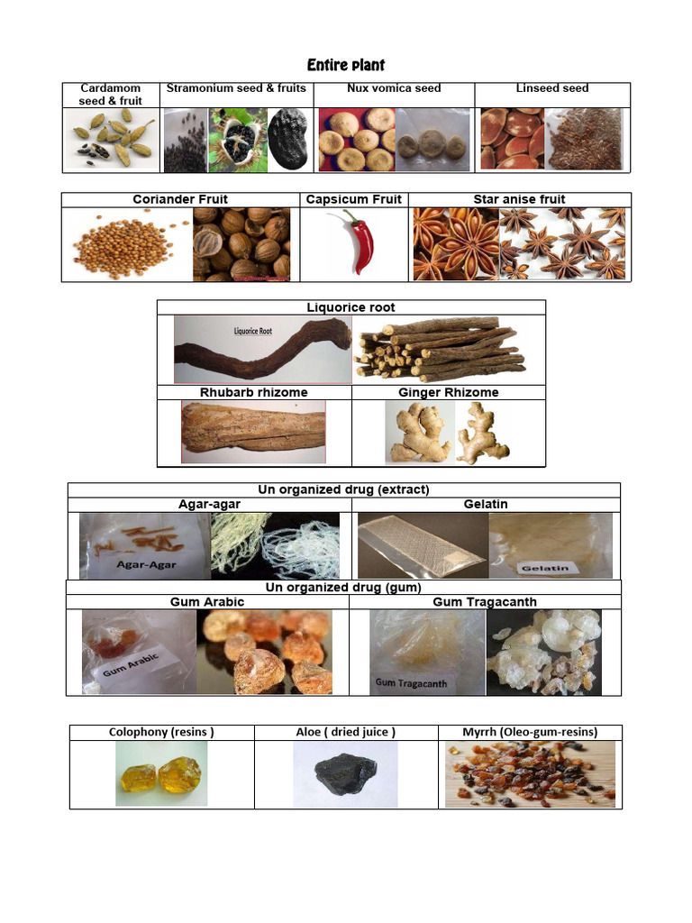 Entire plant_251204_160336 | PDF
