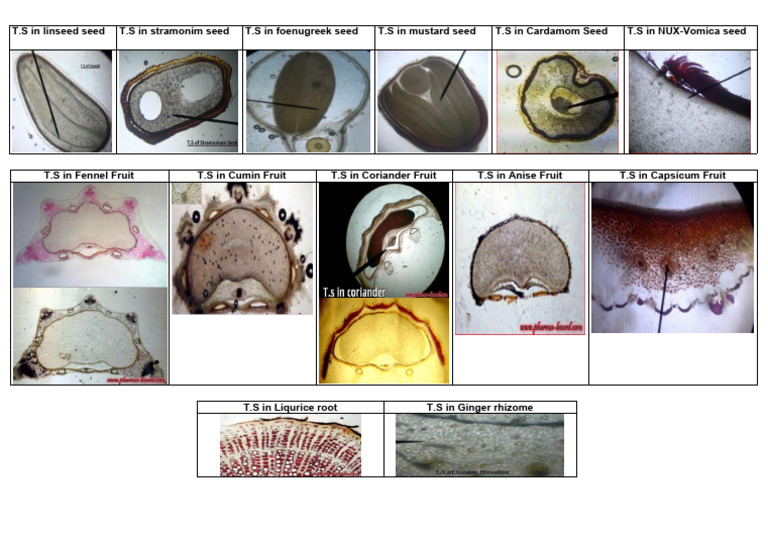 TS 251204 160353 | PDF