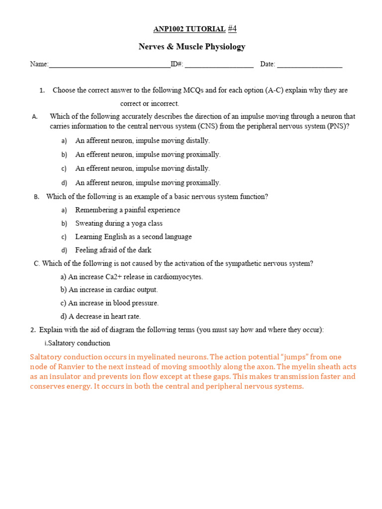 ANP1002 Nervemuscle Tutorial 4(1)_1ef7dd5e165df784862a7c9a34bc9856 Copy | PDF | Synapse ...