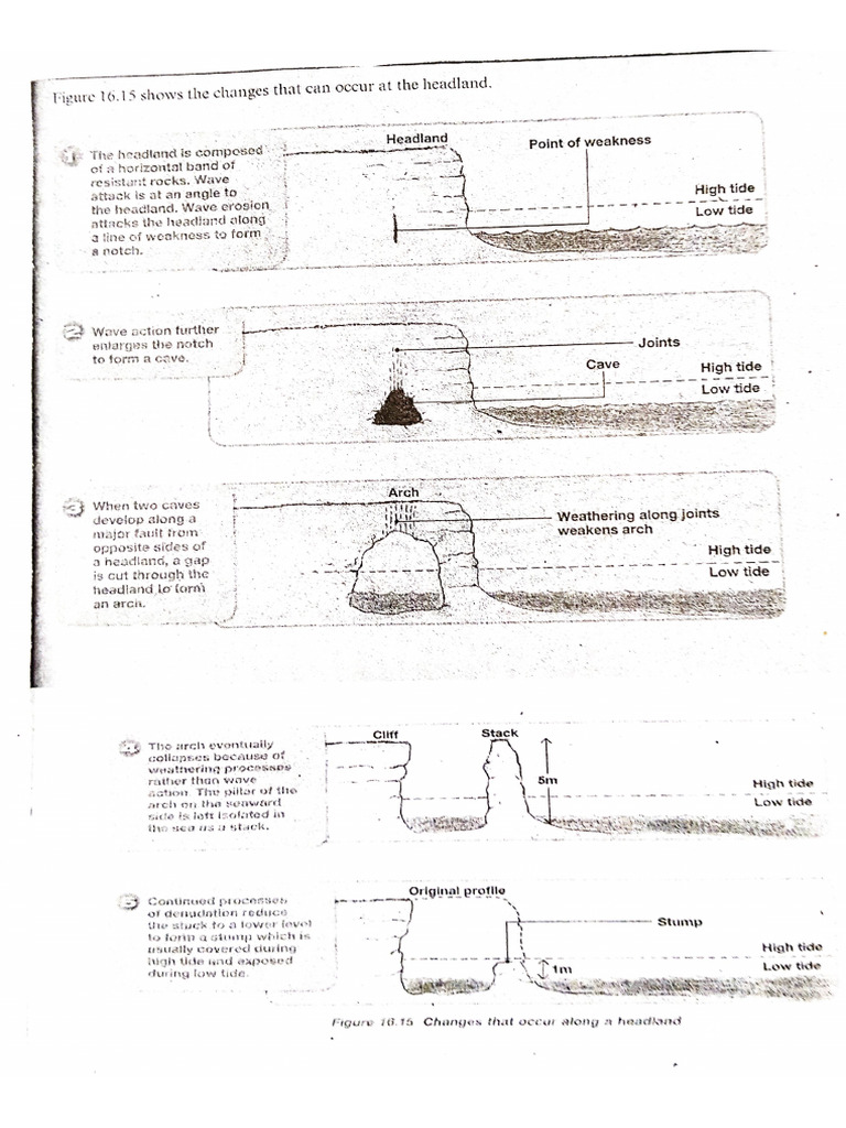 Week 11 (2) Caves, Arches, Stacks & Stumps Diagram | PDF