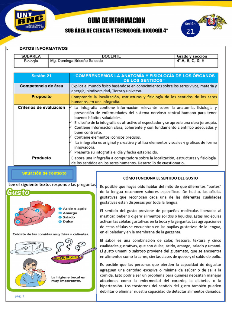 FICHA DE SESIÓN N°21 BIOLOGÍA 4° VIII UNIDAD RNC 2025 (1) | PDF | Gusto | Ojo humano