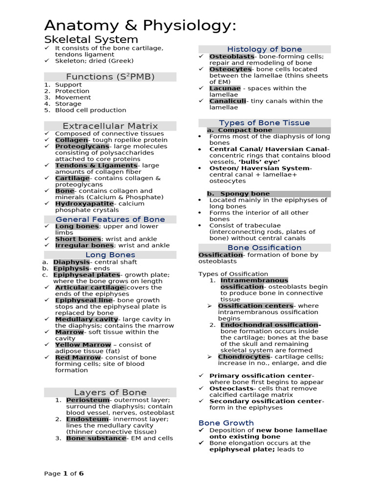 Anaphy Skeletal System | PDF | Vertebra | Anatomical Terms Of Motion