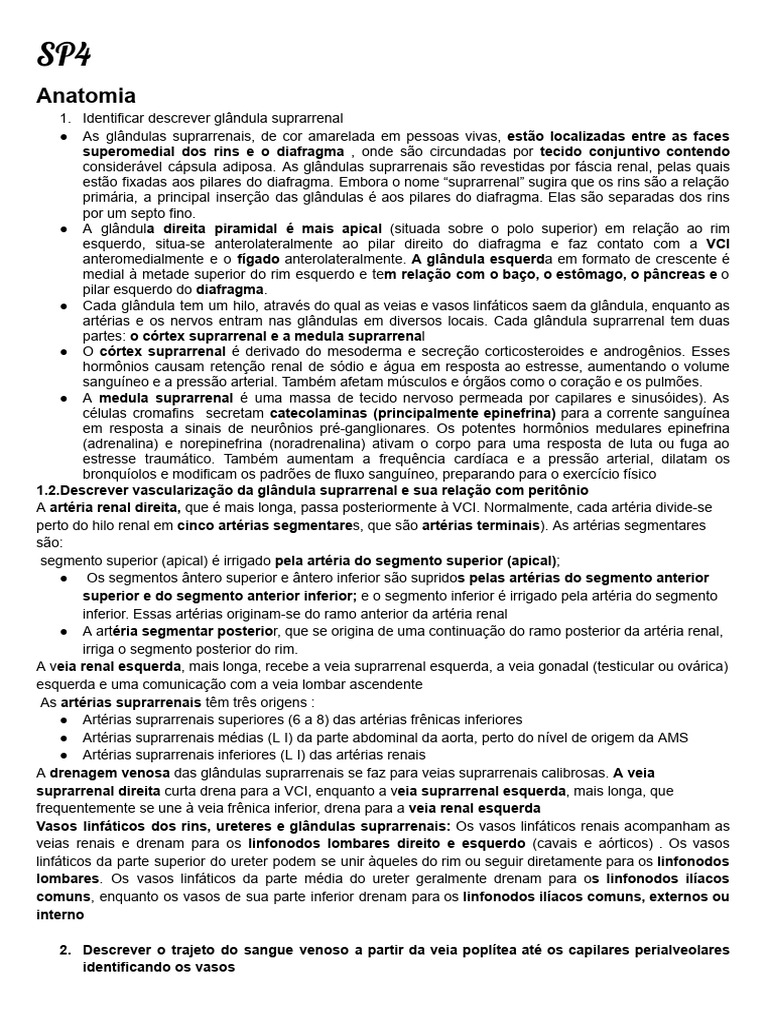 SP4 MORFO-UII 6p | PDF | Rim | Choque (circulatório)