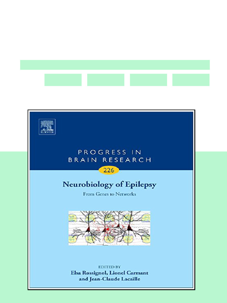 Neurobiology of Epilepsy From Genes To Networks 1st Edition Elsa ...
