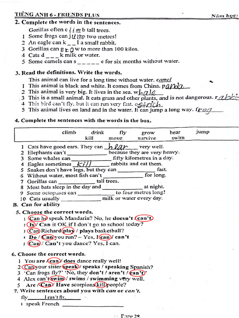 Bt Ta Pdf