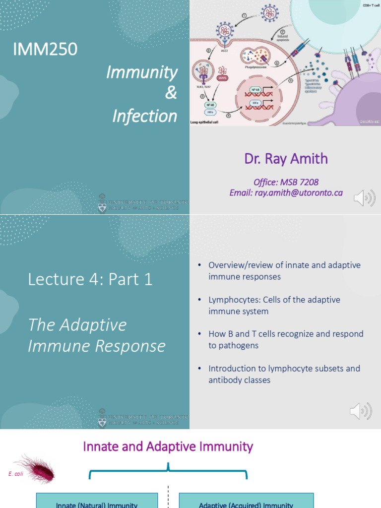 Adaptive Immune Response Overview | PDF | Lymphocyte | Immune System