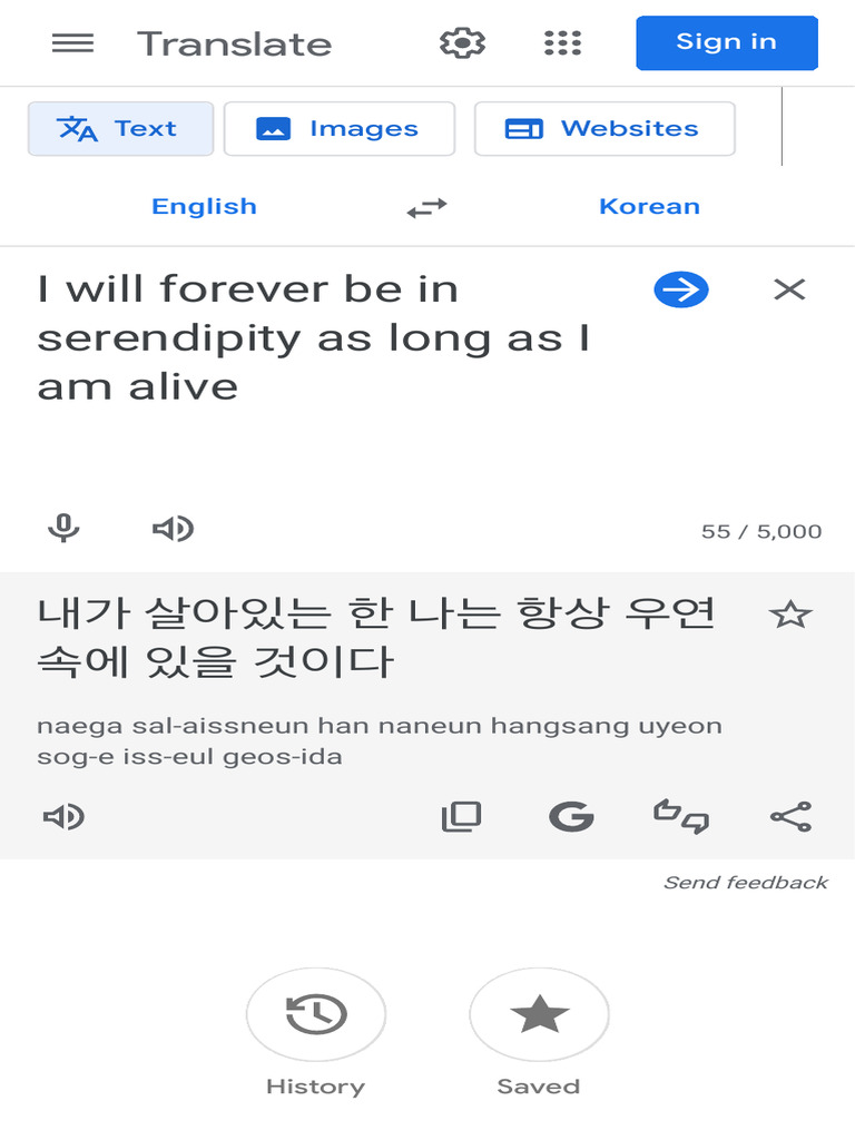 Google Translate | PDF