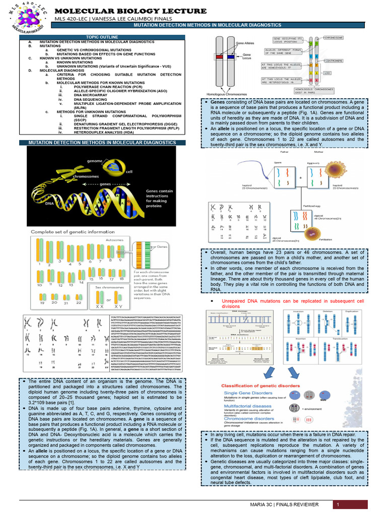 Mutation Detection in Molecular Diagnostics | PDF | Polymerase Chain ...
