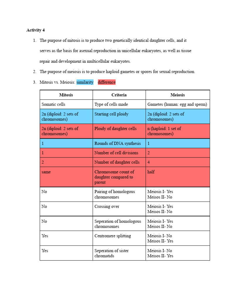 Activity 4 Mitosis and Meiosis | PDF | Meiosis | Ploidy