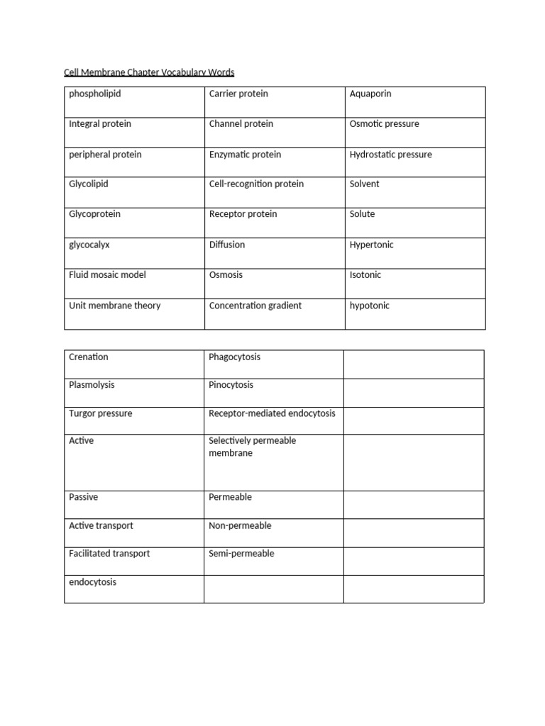 Cell Membrane Chapter Vocabulary Words | PDF