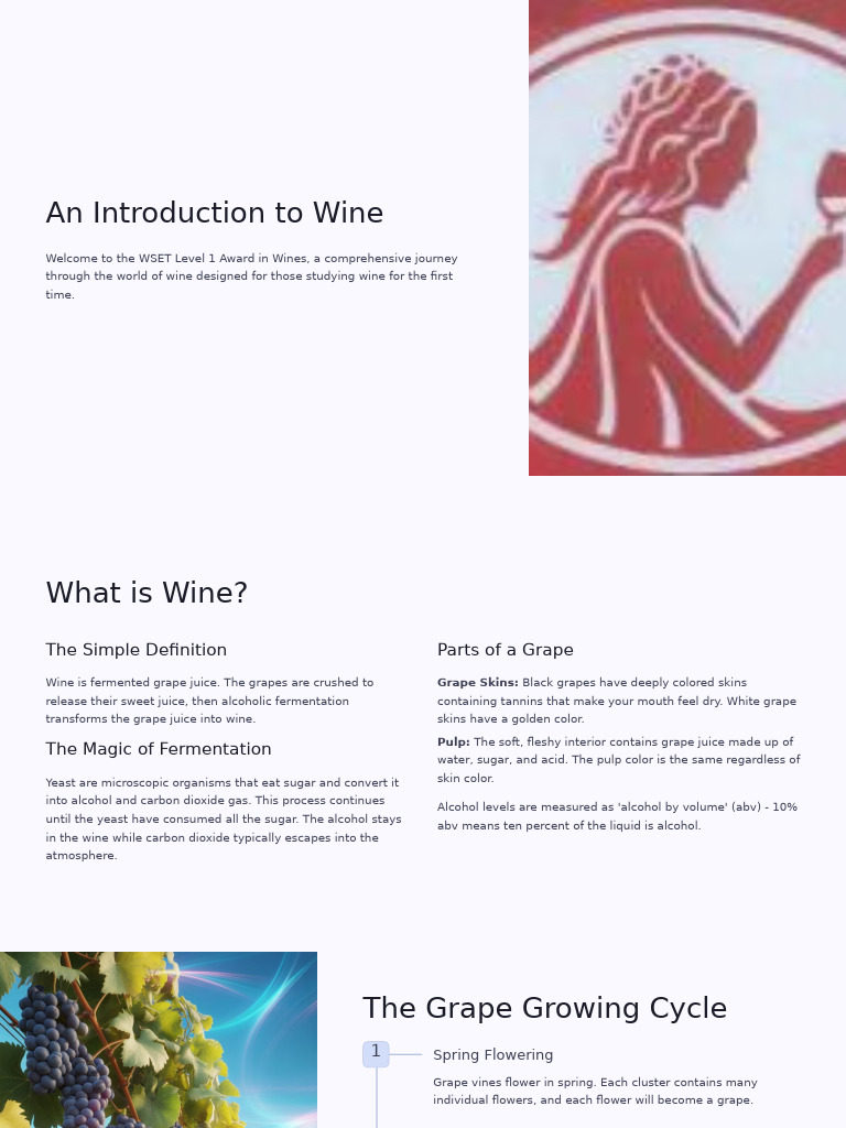 An Introduction To Wine For Beginer | PDF | Wine | Fermentation In ...