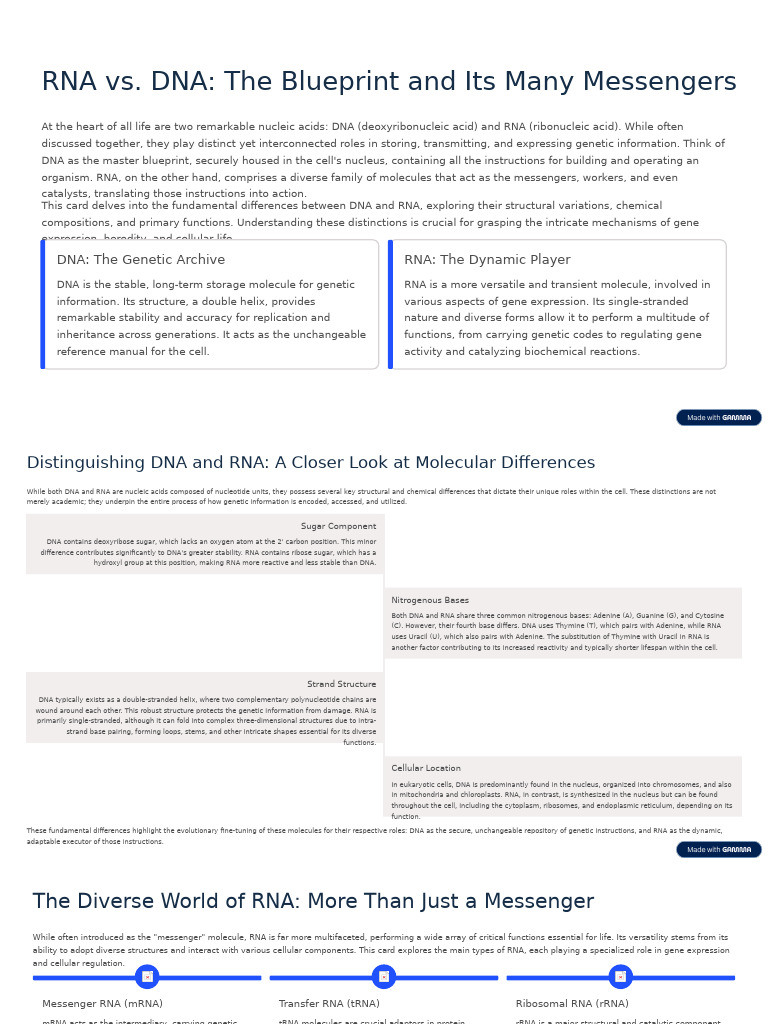 RNA Vs DNA The Blueprint and Its Many Messengers | PDF | Rna ...